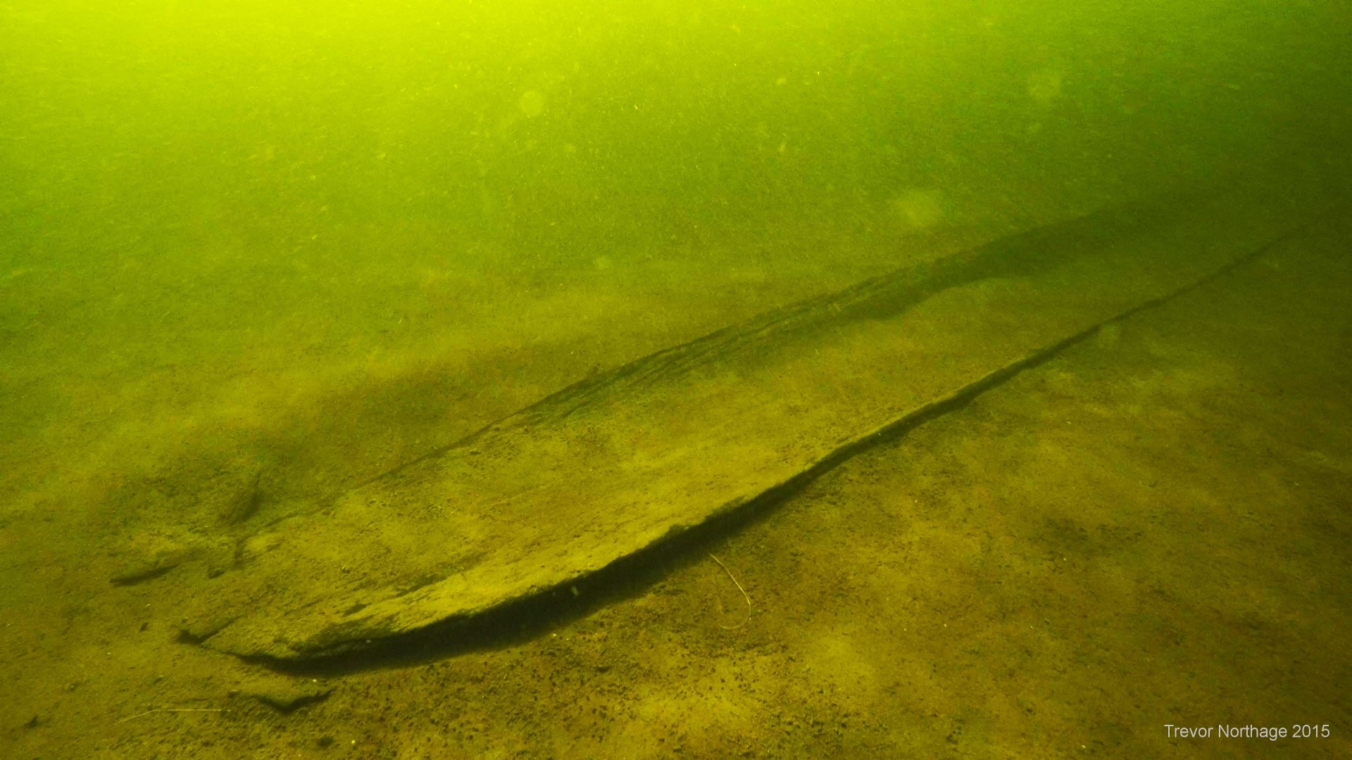 Old Stone Age - Paleolithic Period circa Last Ice Age-8000 BCE - Galway ...