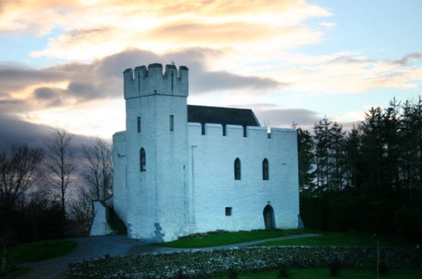 Cargin Castle - Galway County Heritage Office