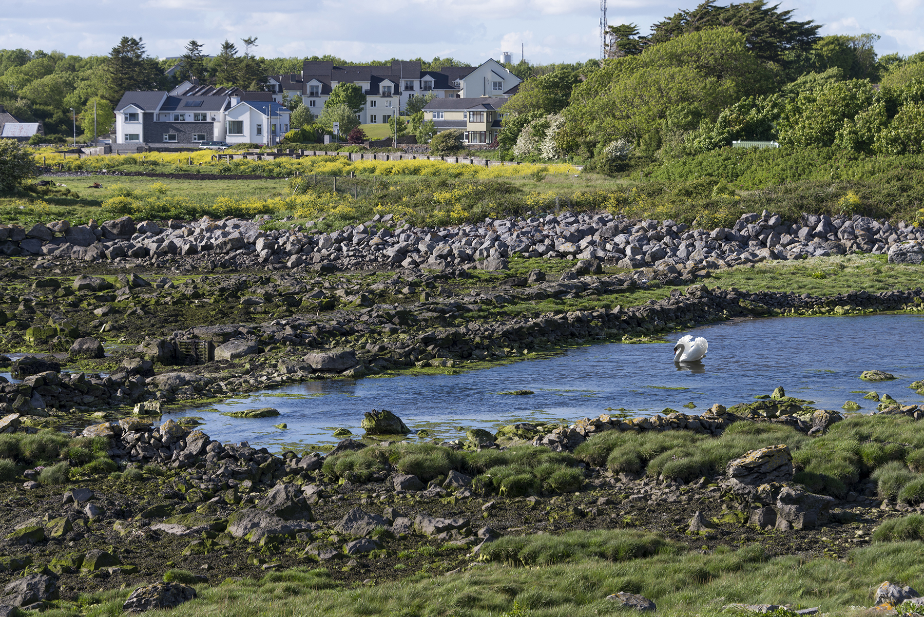 18. River Ford - Galway County Heritage Office