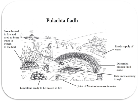 08 Fulachta Fiadh - Milltown Heritage Group