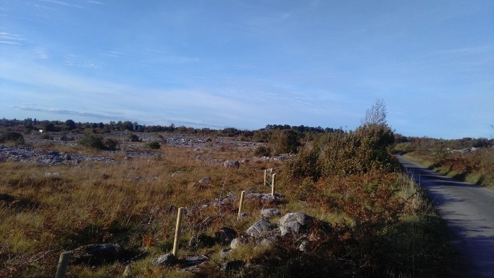 Moycullen's Mini Burren - Moycullen Heritage