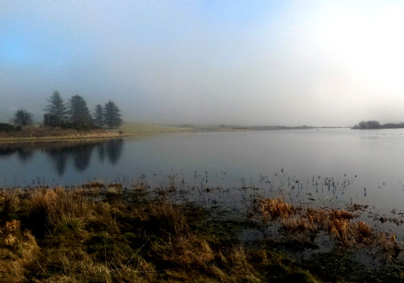 Fulacht Fiadh - Moylough Heritage Society