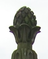 Pineapple Heads - Woodlawn Heritage Group