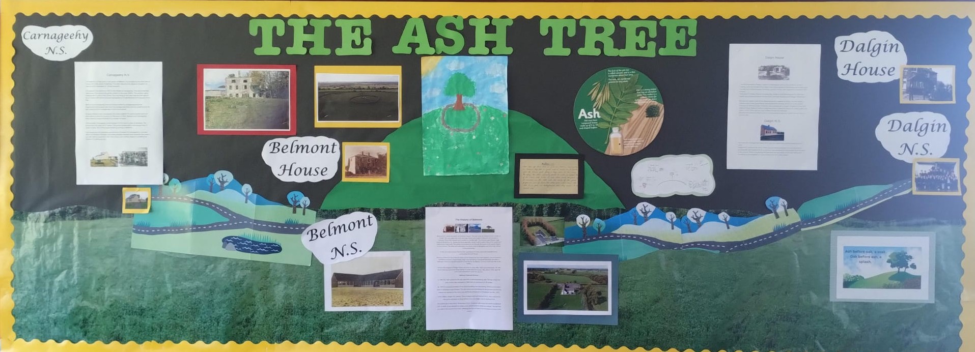 Video on The Ash Tree Project - Milltown Heritage Group