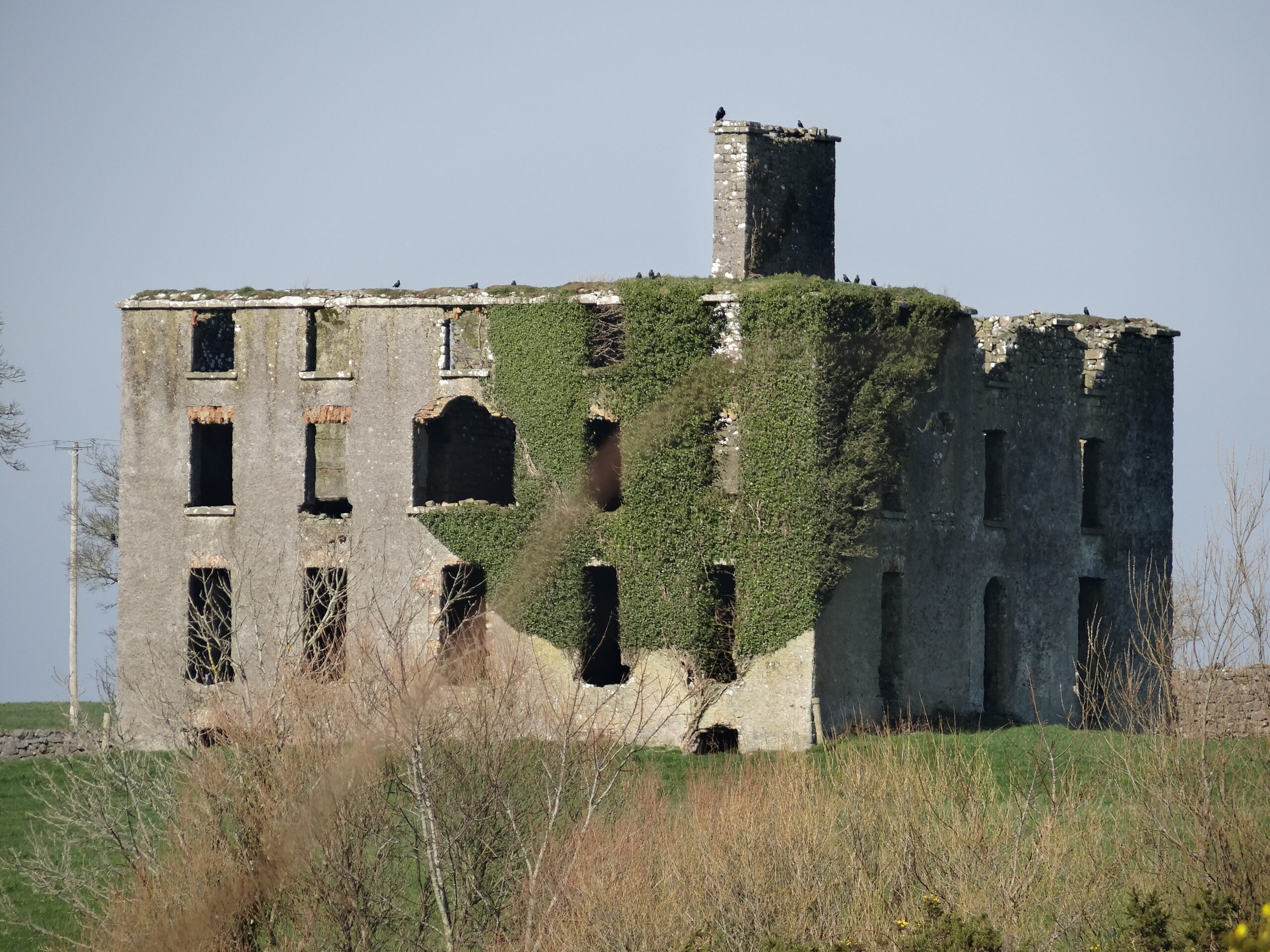 Record cabbage in Castlemoyle - Killererin Heritage Group