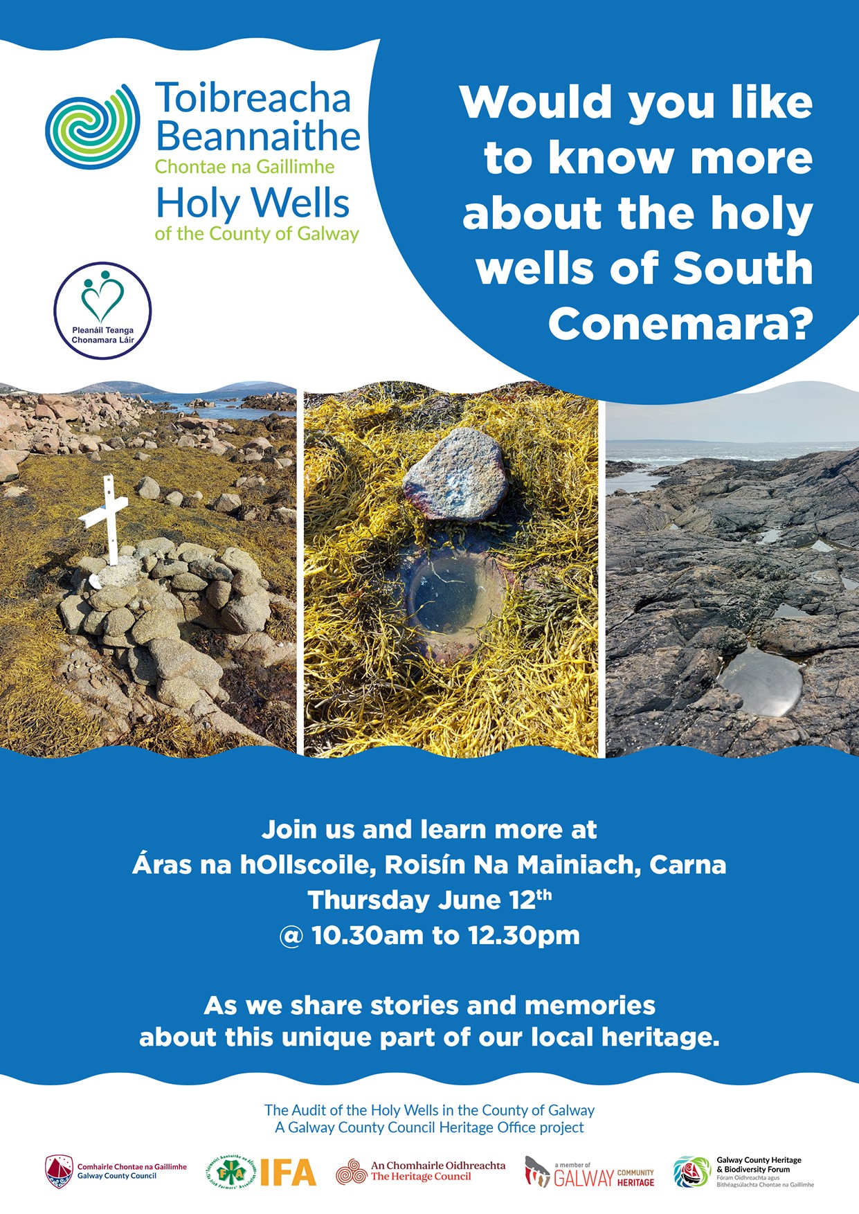 Galway Holy Wells Project 2025 - Galway Community Archaeology
