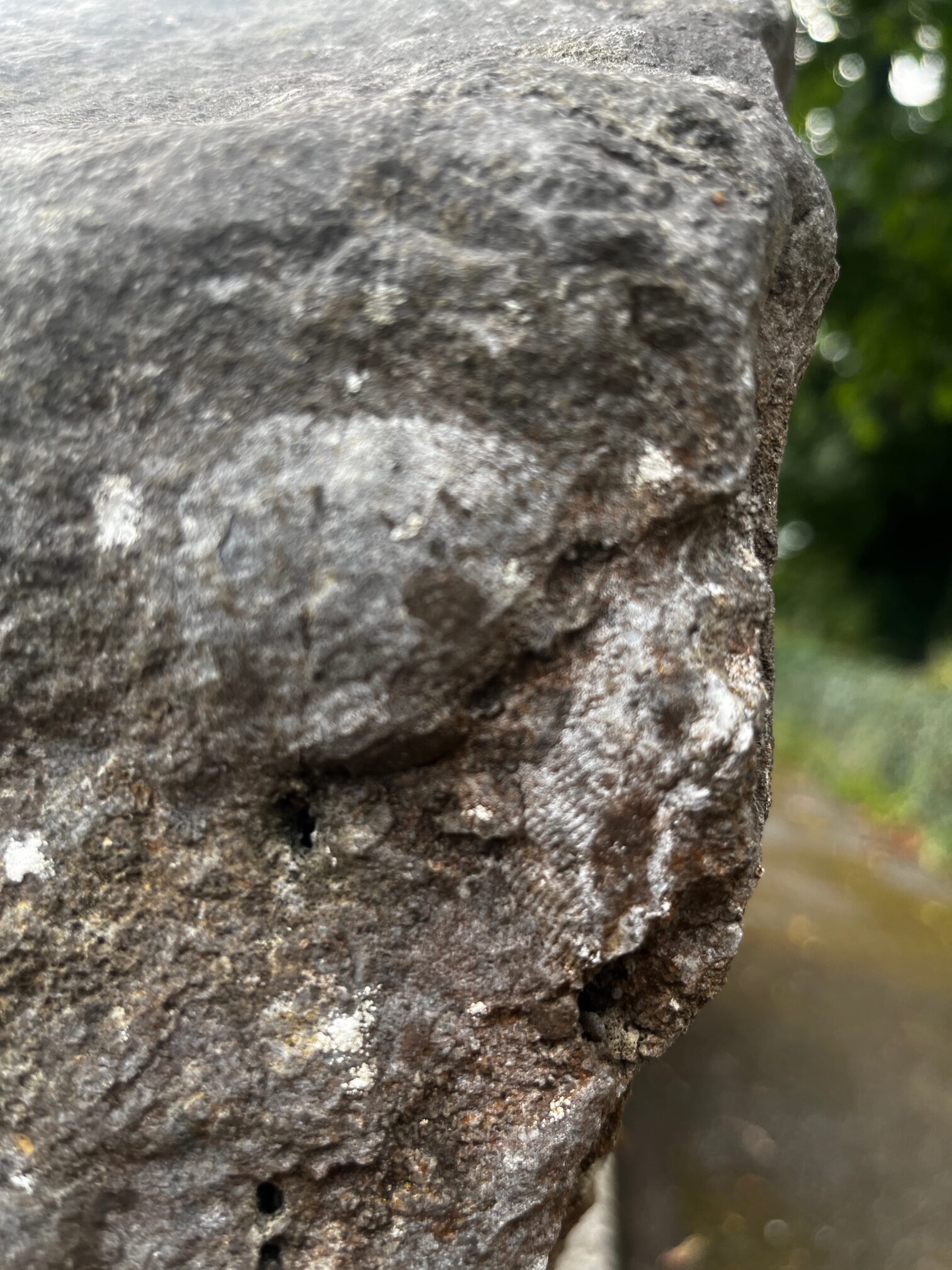 Brachiopods by the Church - Moycullen Heritage