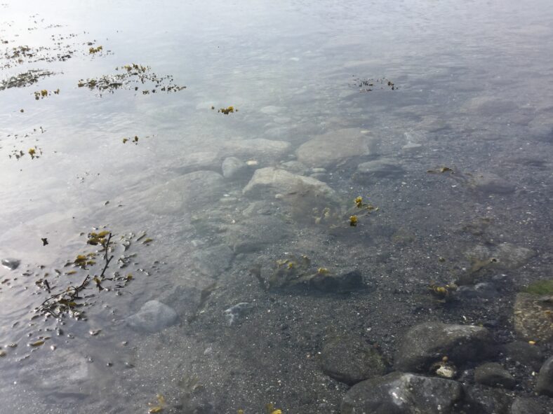 Still waters run deep - Galway County Heritage Office