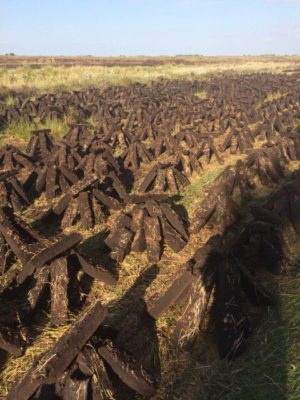 Mountbellew - Galway County Heritage Office