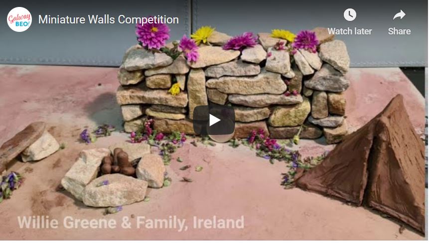 Miniature Walls Competition - Galway County Heritage Office