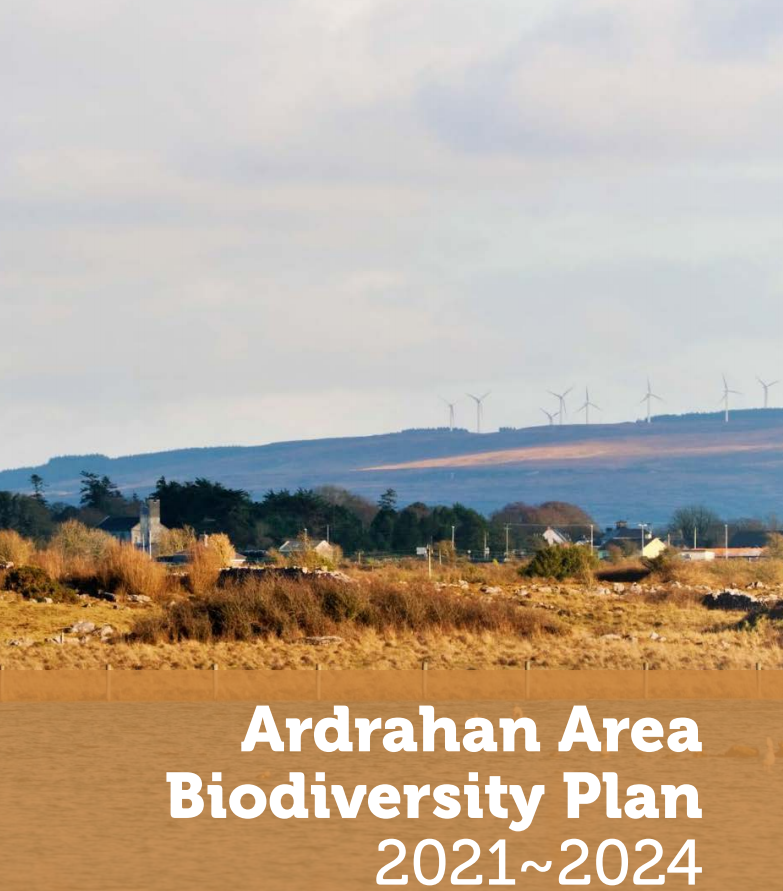 Ardrahan Biodiversity Action Plan - Galway County Heritage Office
