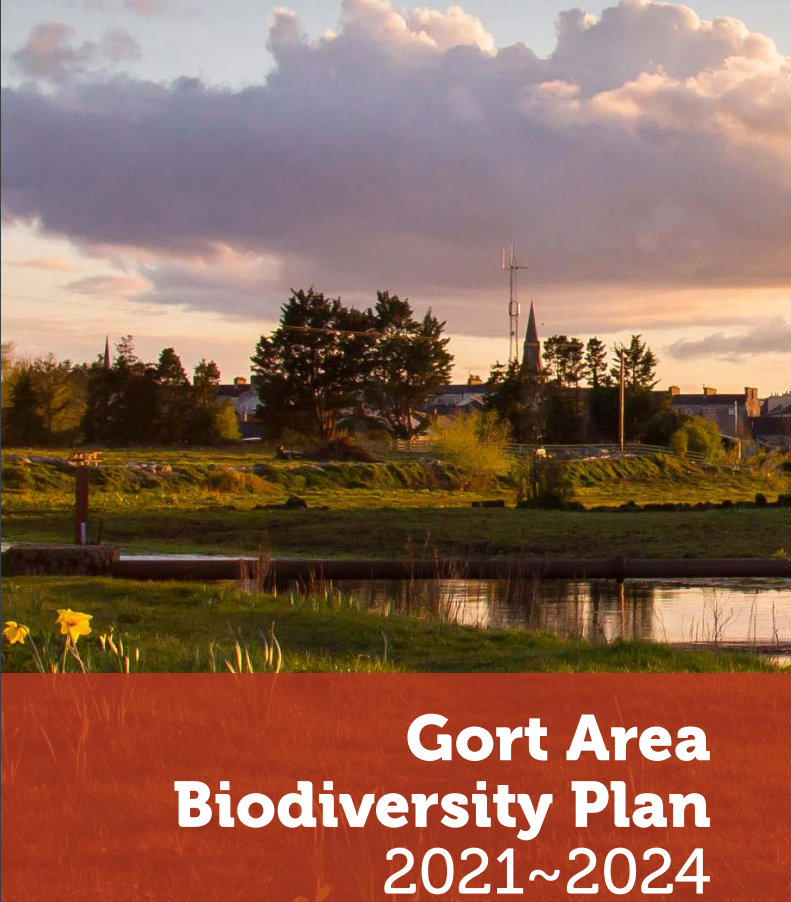 Gort Biodiversity Action Plan - Galway County Heritage Office
