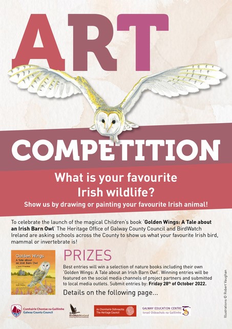 Art Competition - Galway County Heritage Office
