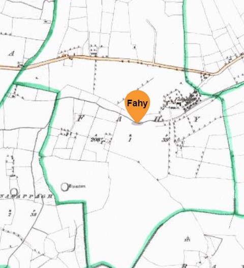 Fahy, An Fhaiche - Galway County Heritage Office