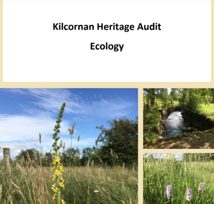 Kilcornan Heritage Audit - Galway County Heritage Office