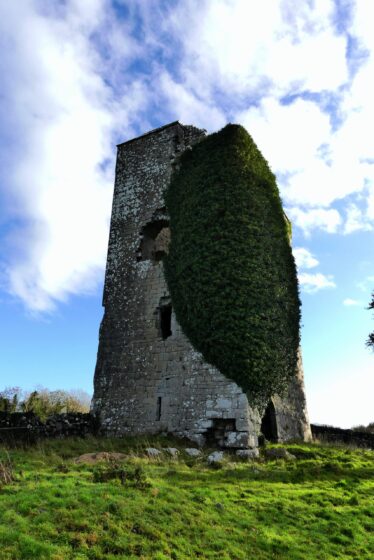 Ballinduff Monuments - Galway County Heritage Office