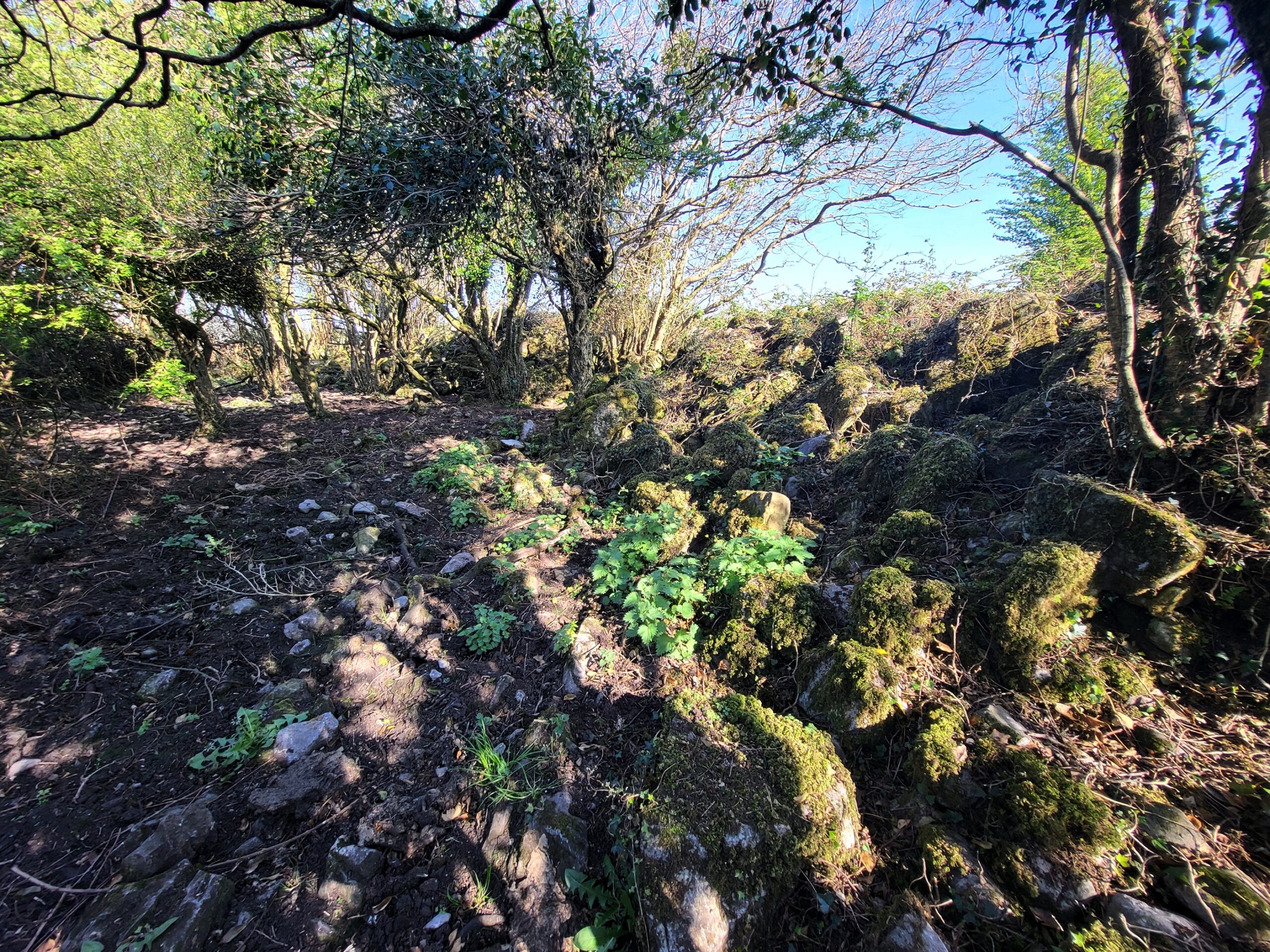 Ballycasey Monuments - Galway County Heritage Office