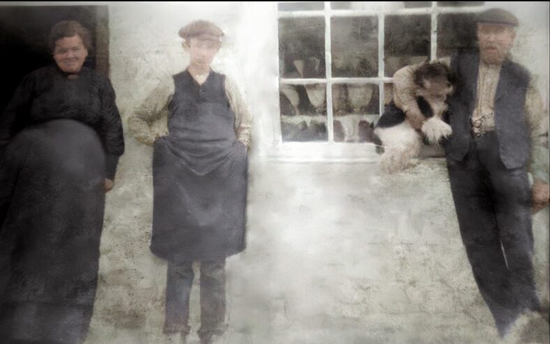 The Shoemaker Shop - Skehana & District Heritage