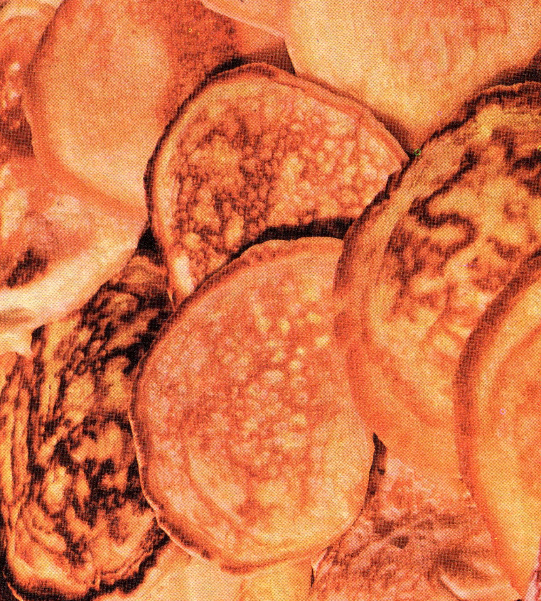 Irish Pancakes - Abbey and District Heritage